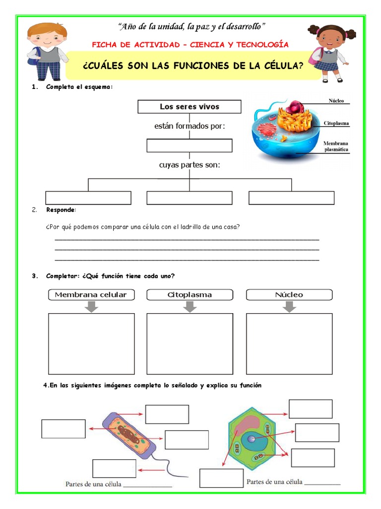 Ficha de Actividades sobre la Célula | PDF | Biología Celular) | Sangre