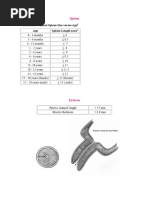 Normal Values Ultrasound - Paediatrics | PDF