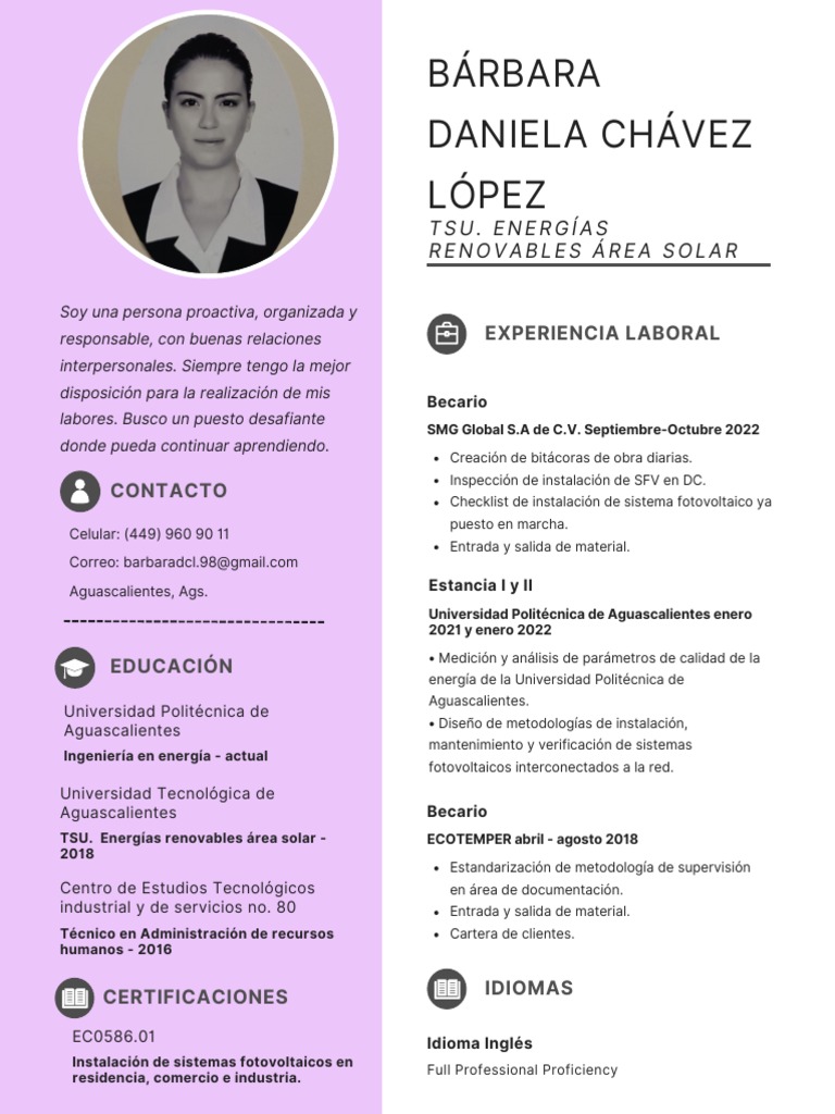 CV Bárbara Chávez | PDF | Fotovoltaica