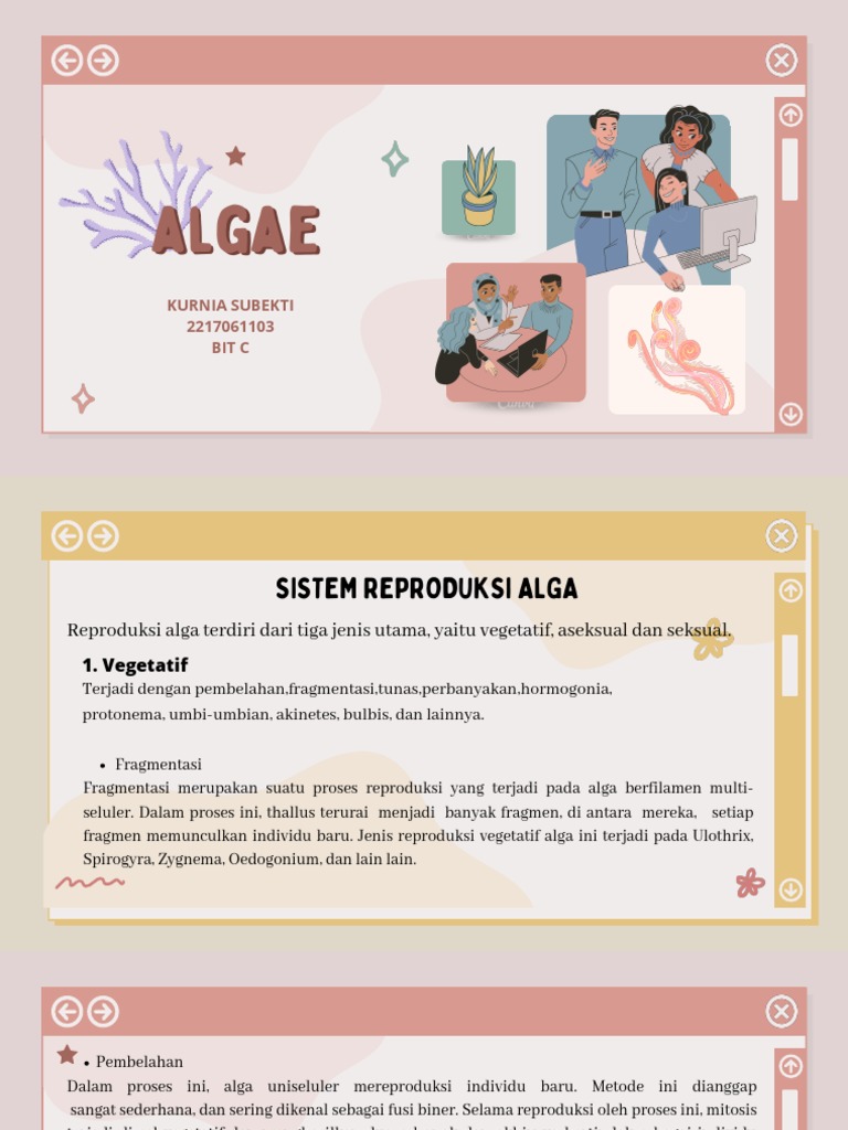 Algae | PDF