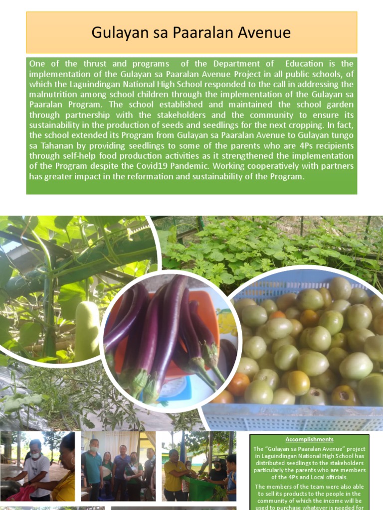 Gulayan Sa Paaralan Avenue Accomplishments | PDF