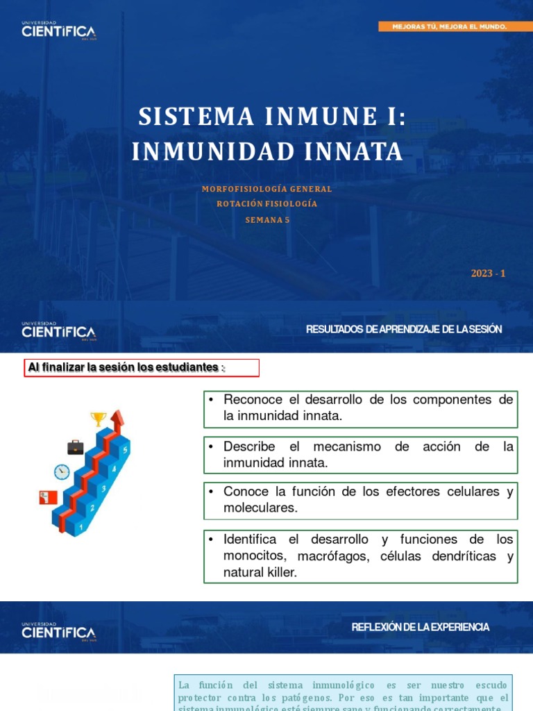 Teoría Fisiología - Semana 5 2023-1 | PDF | Sistema inmune | Sistema inmune innato