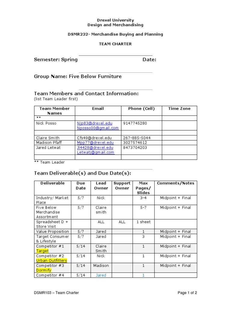 dsmr232 - Team Charter | PDF | Business Economics | Business Process