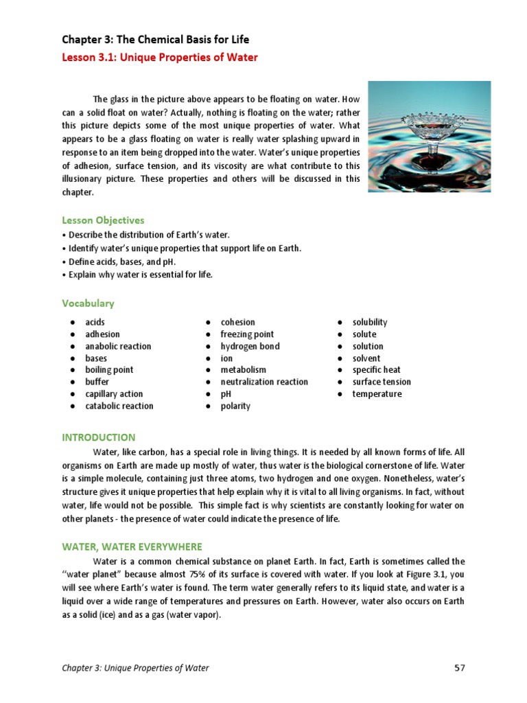 Unique Properties of Water Explained | PDF | Ph | Water