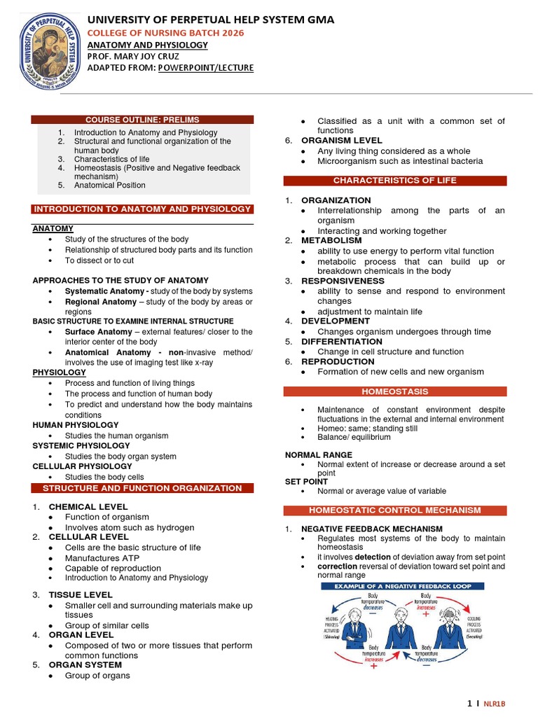 Anaphy Transes | PDF | Anatomical Terms Of Location | Homeostasis