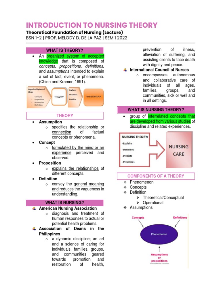Introduction-to-Nursing-Theory-TRANSES | PDF | Theory | Concept