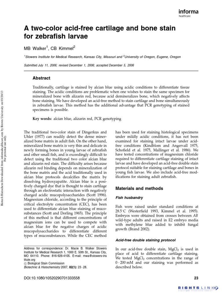 Acid-Free Staining for Zebrafish Cartilage | PDF | Staining ...