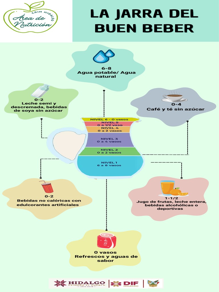 Infografía Jarra Del Buen Beber | PDF