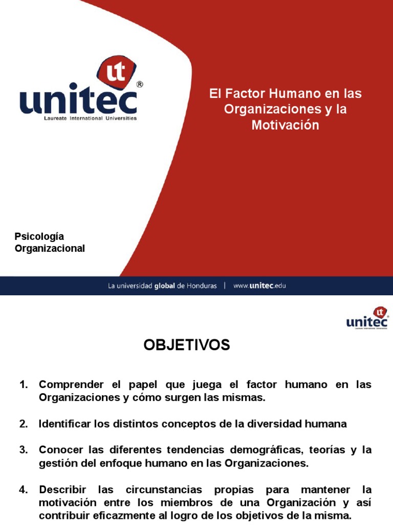 El Factor Humano en Las Organizaciones | PDF | Motivación | Motivacional