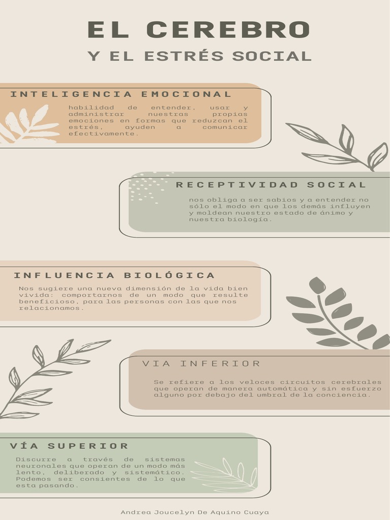 El Cerebro y El Estres Social | PDF