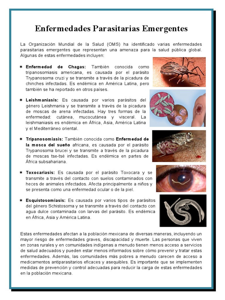 Enfermedades Parasitarias Emergentes | PDF | Enfermedades y trastornos ...