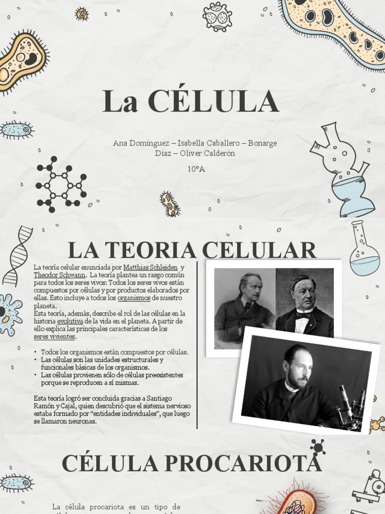 La Celula Pdf Biología Celular Eucariotas