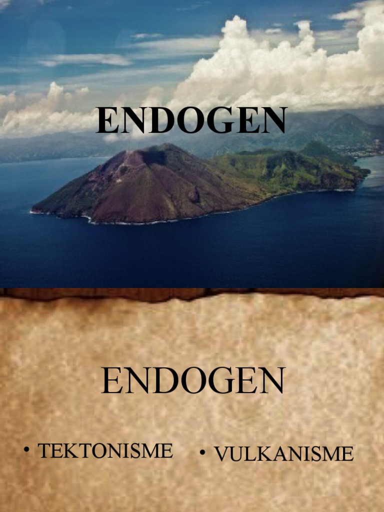 ENDOGEN | PDF