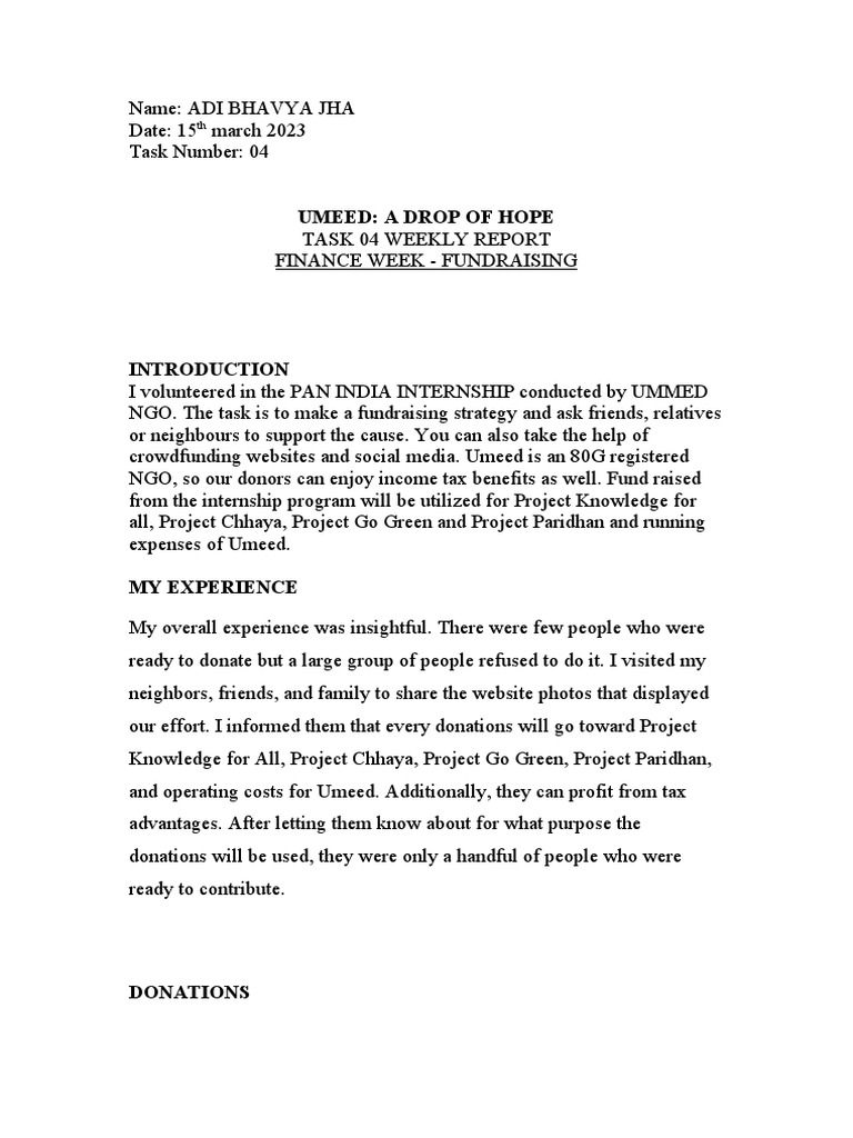 Adi Bhavya Jha - Task 4 Report - Umeed | PDF