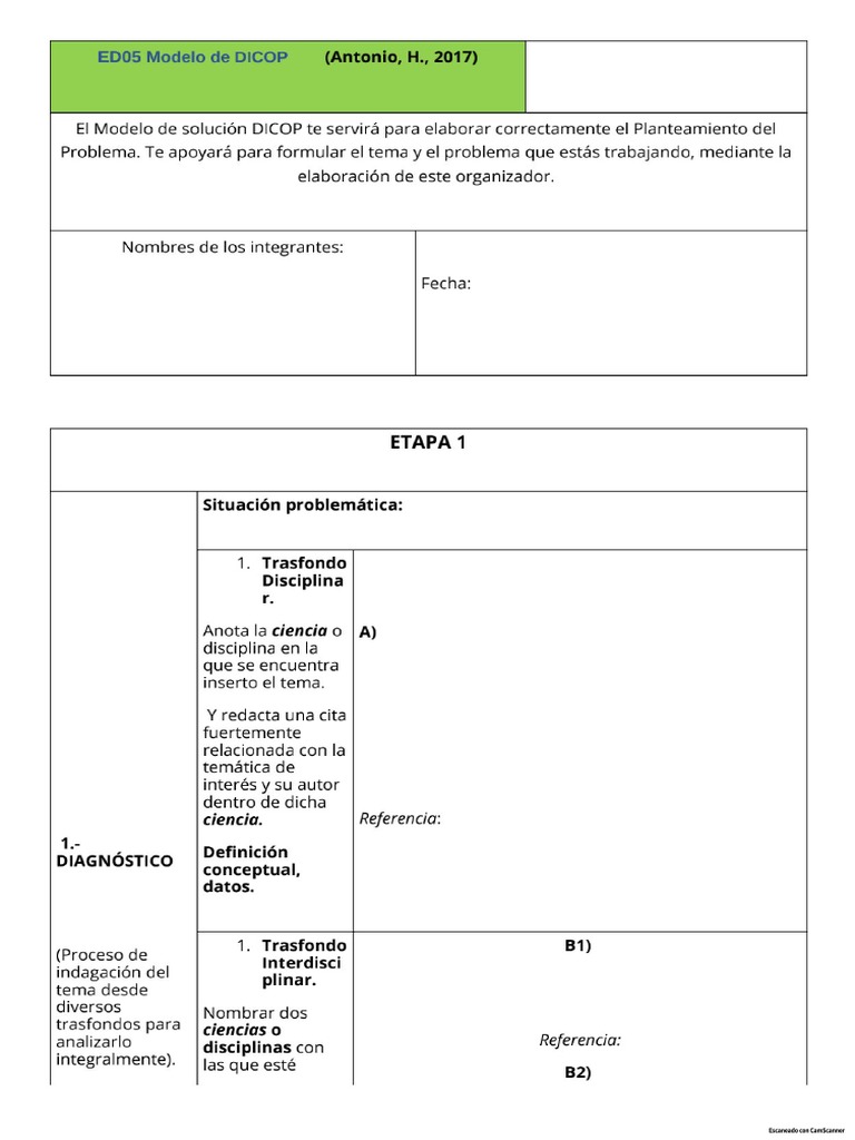Formato Dicop | PDF