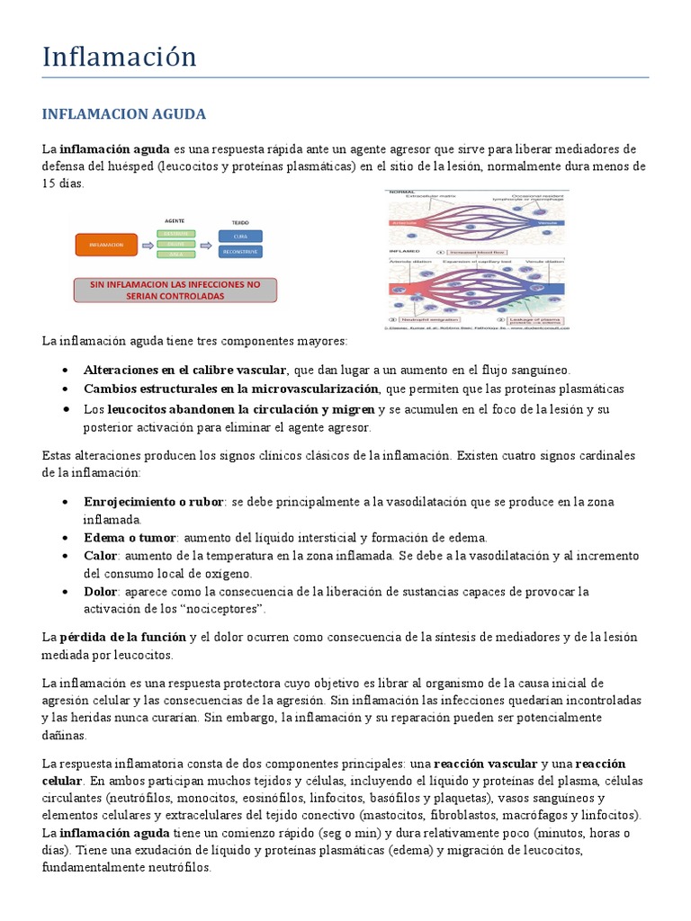 Inflamación | PDF | Inflamación | Edema