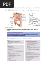 LI Miftah Anatomi Dorsum Pedis A20 | PDF | Ilmu Sosial