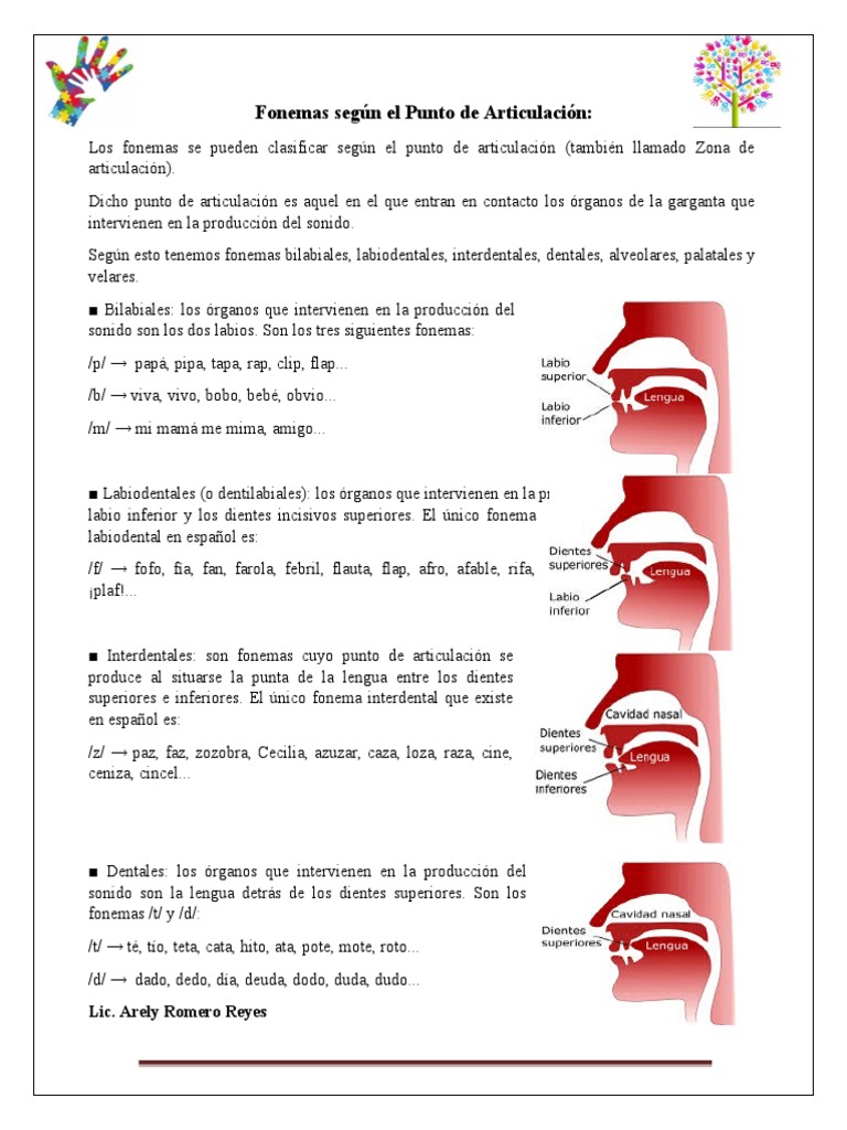 Fonemas Segun Punto y Modo de Articulacion | PDF | Fonema | Fonología