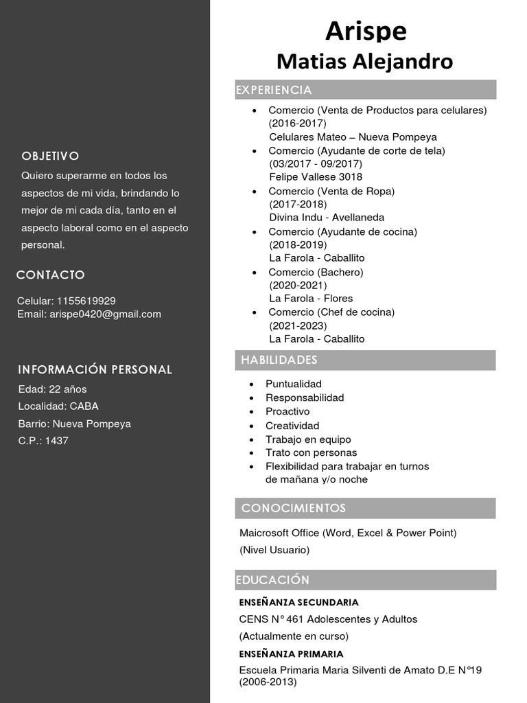 CV Alejandro Arispe | PDF