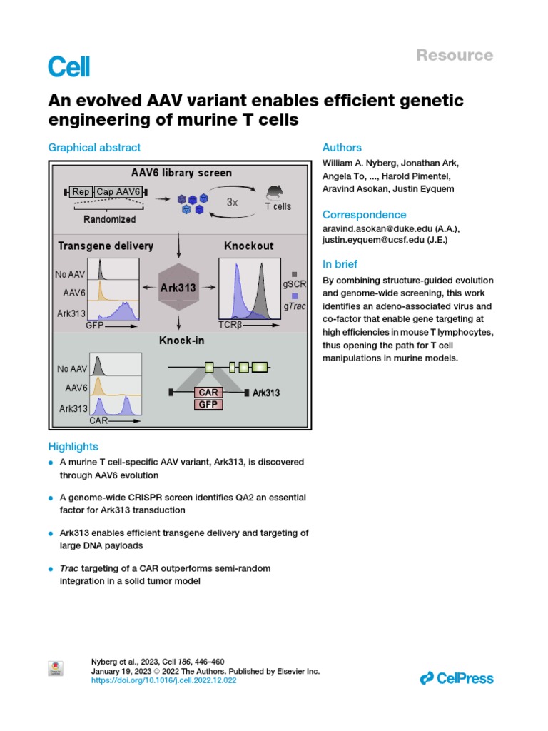 An Evolved AAV Variant Enables Efficient Genetic Engineering of Murine ...