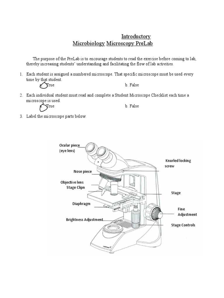 Micros | PDF | Electrodynamics | Laboratory Techniques