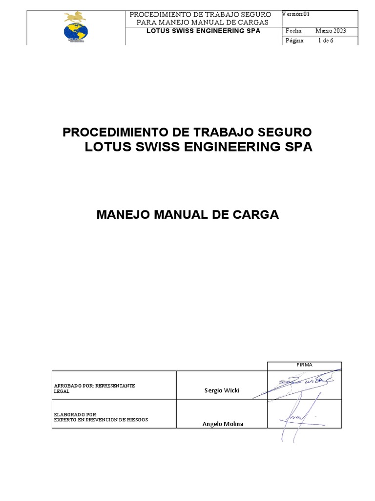 PROCEDIMIENTO DE TRABAJO SEGURO PARA MANEJO MANUAL DE CARGAS chile | PDF