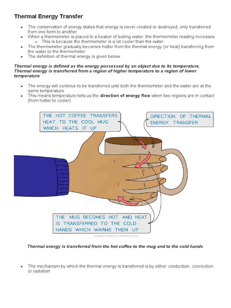 Thermal Energy Transfer and Equilibrium Explained | PDF | Temperature ...