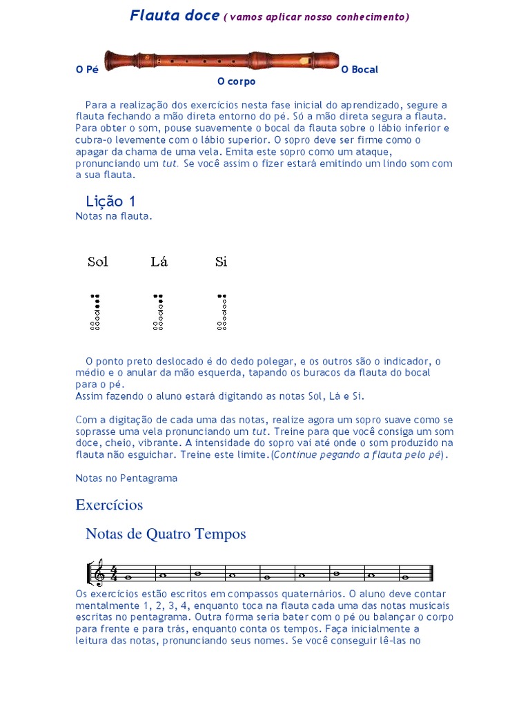 Apostila Curso Flauta Doce | PDF | Flauta doce | Flauta