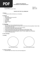osmosis_red_onion_cells | PDF | Osmosis | Biology