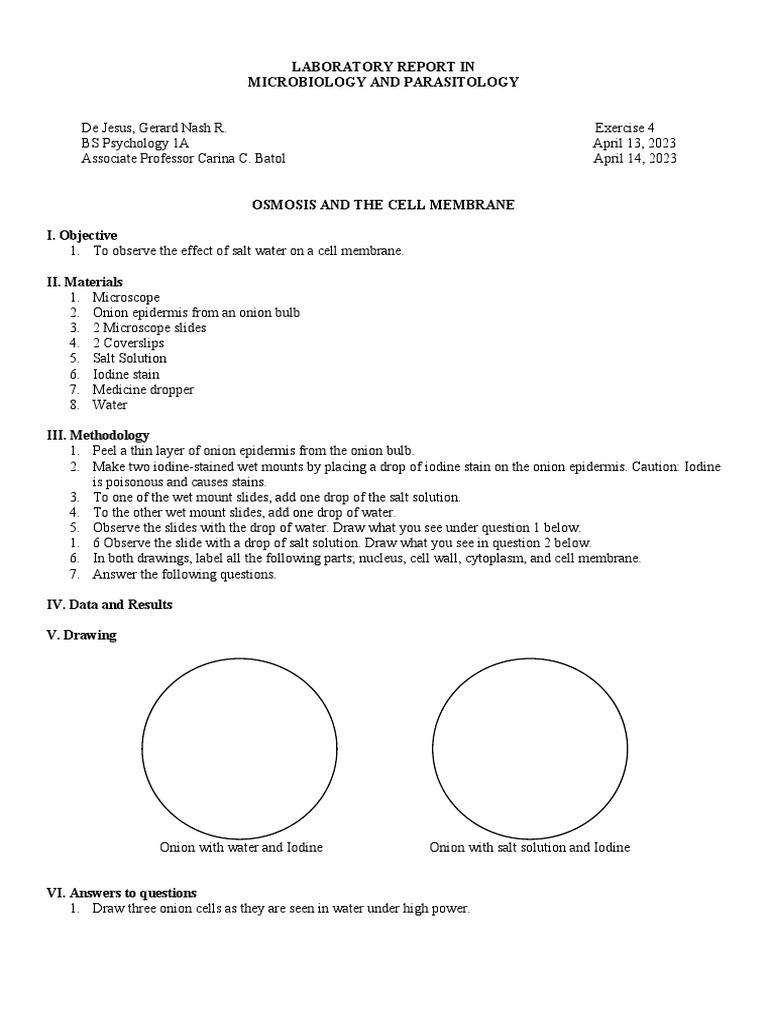 Onion Cell Membrane Osmosis Lab Report | PDF | Osmosis | Chemistry