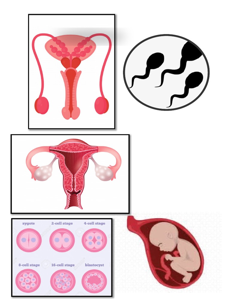 PROSES PERSENYAWAAN | PDF