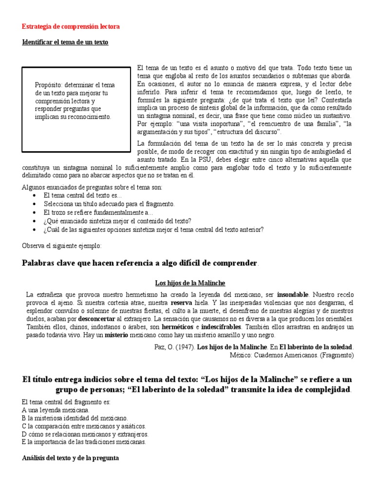 Identificar el tema central de un texto | PDF | Comprensión lectora ...