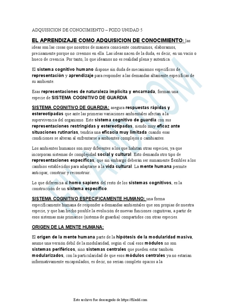 El origen de la mente humana: La transición de representaciones ...