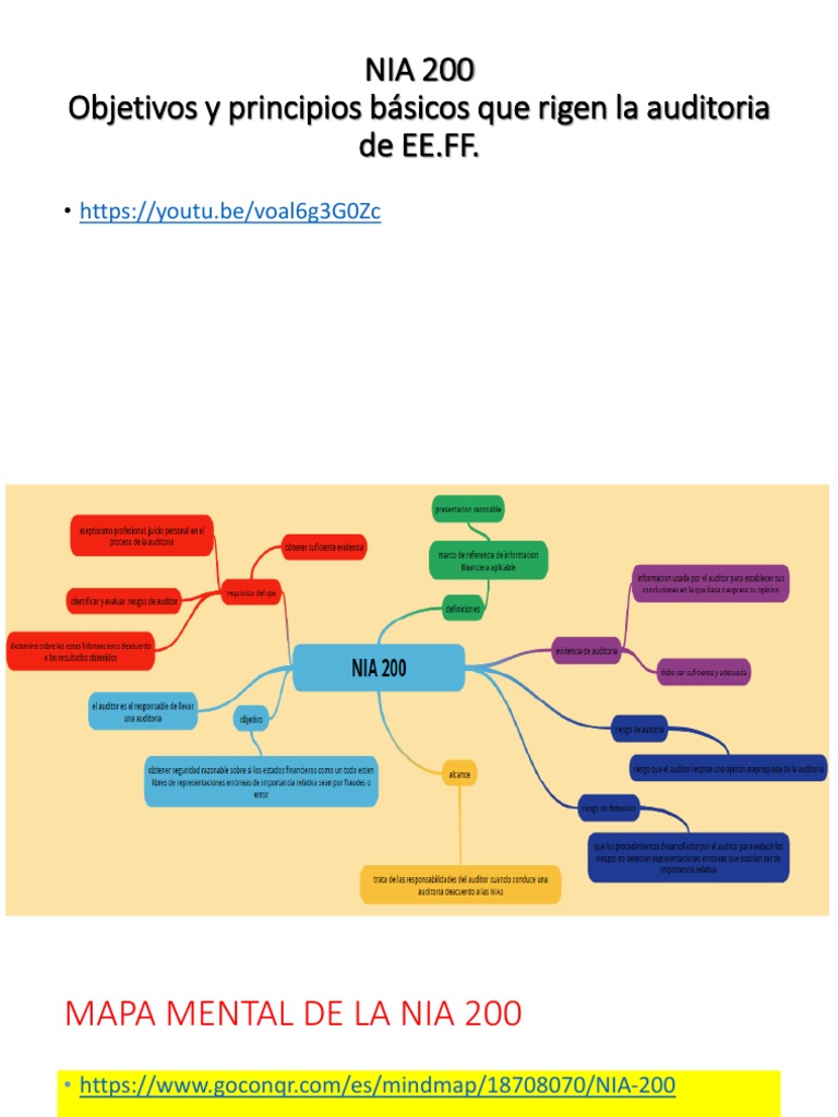 NIA 200 Objetivos y Principios Básicos Que Rigen La Auditoria de EE ...