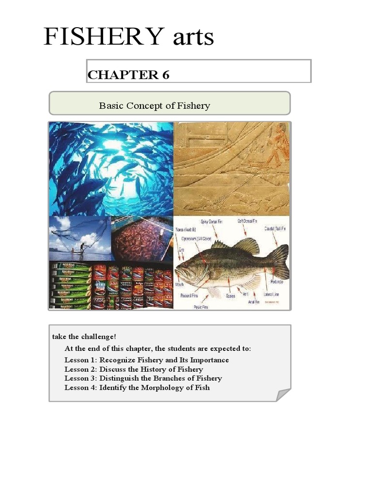 Module CHAPTER VI FISHERY ARTS | PDF | Fish | Gill