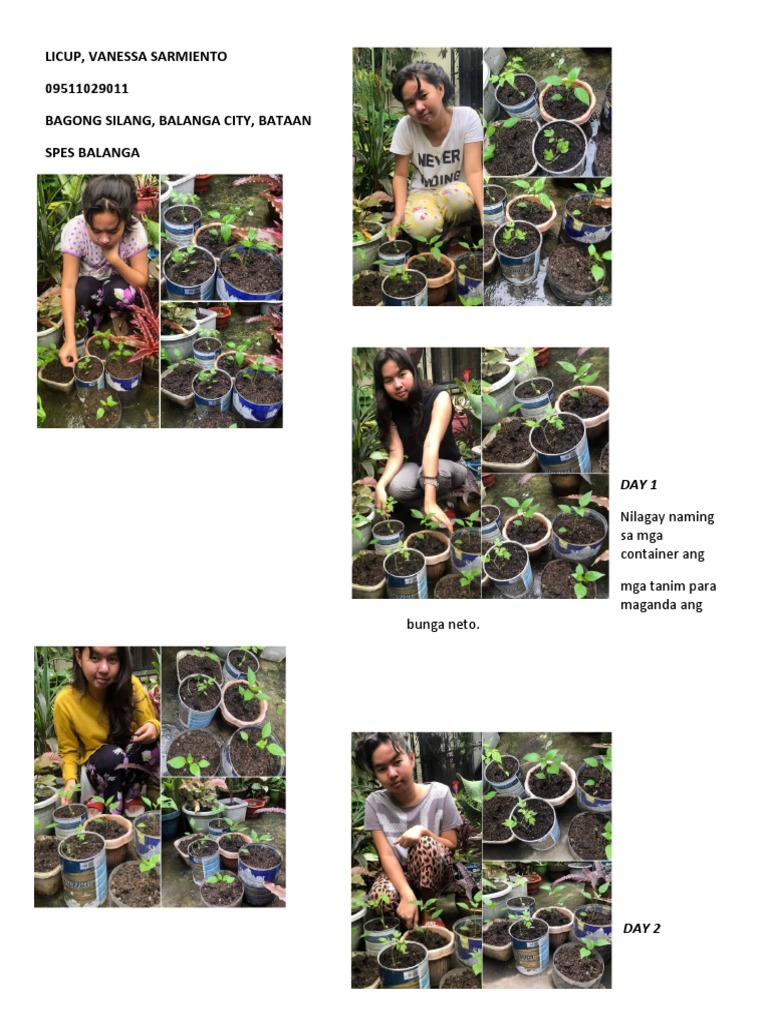 Licup, Vanessa Sarmiento 09511029011 Bagong Silang, Balanga City ...