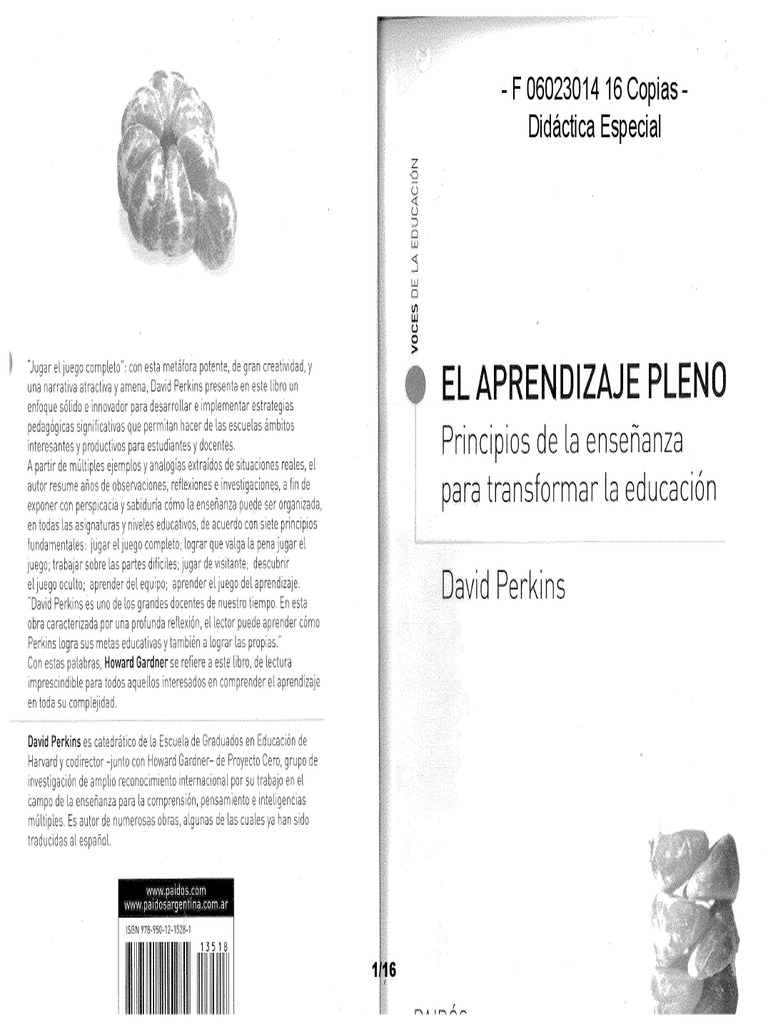 PERKINS, David El Aprendizaje Pleno | PDF