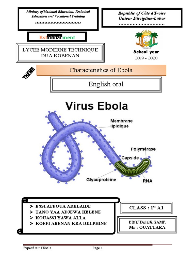 Ebola Awareness for Students | PDF | Infection | Virus