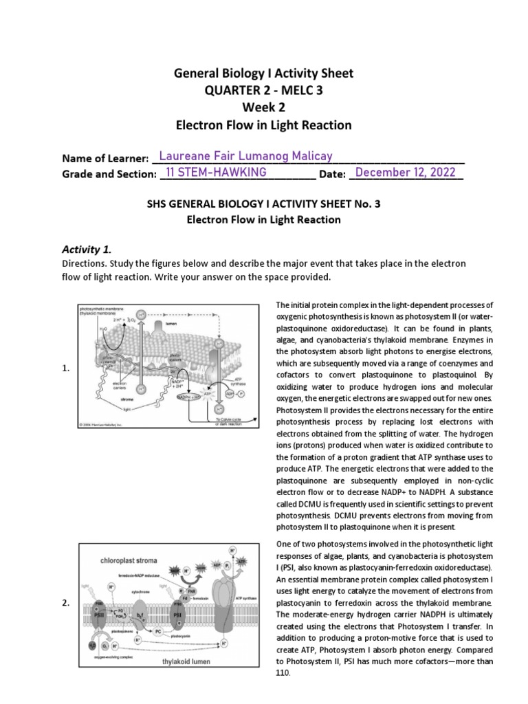 General Biology I Activity Sheet | PDF