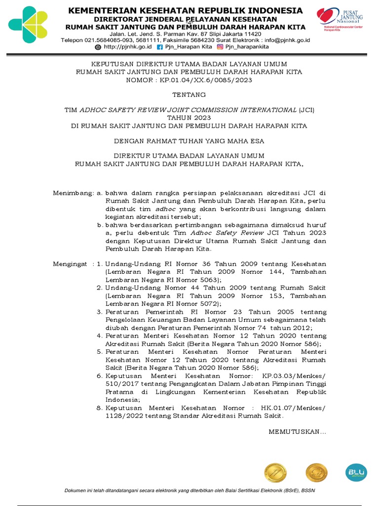 SK Tim Adhoc Reviu JCI (New) | PDF