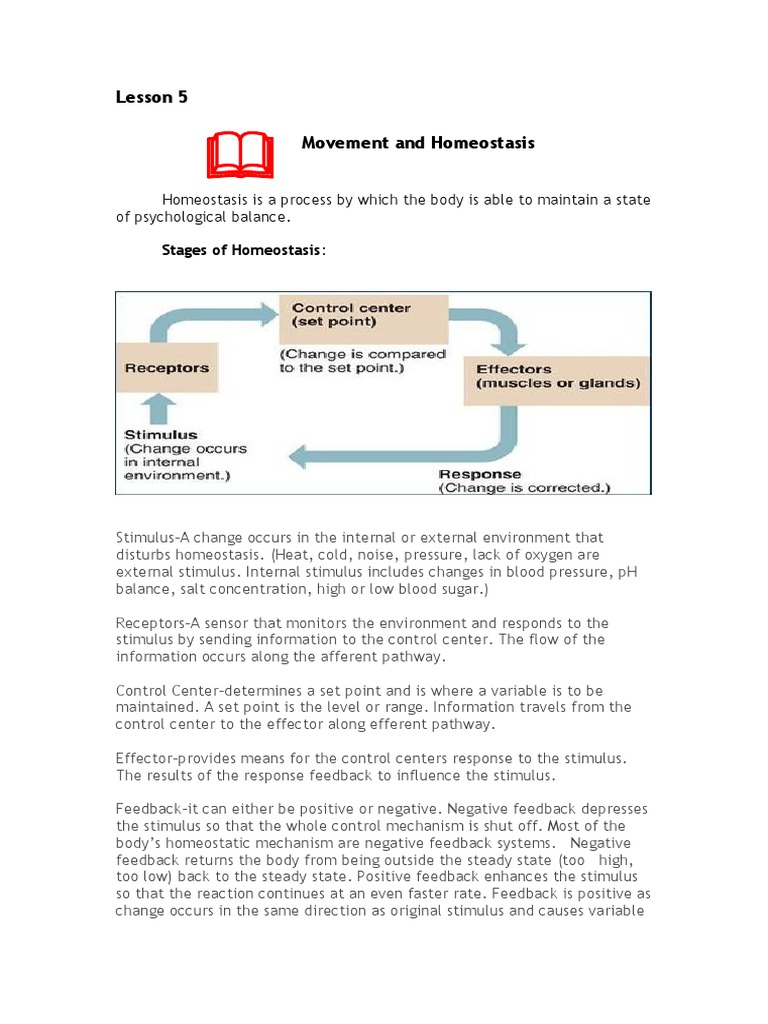 Lesson 5. Movement and Homeostasis | PDF | Homeostasis | Stimulus ...