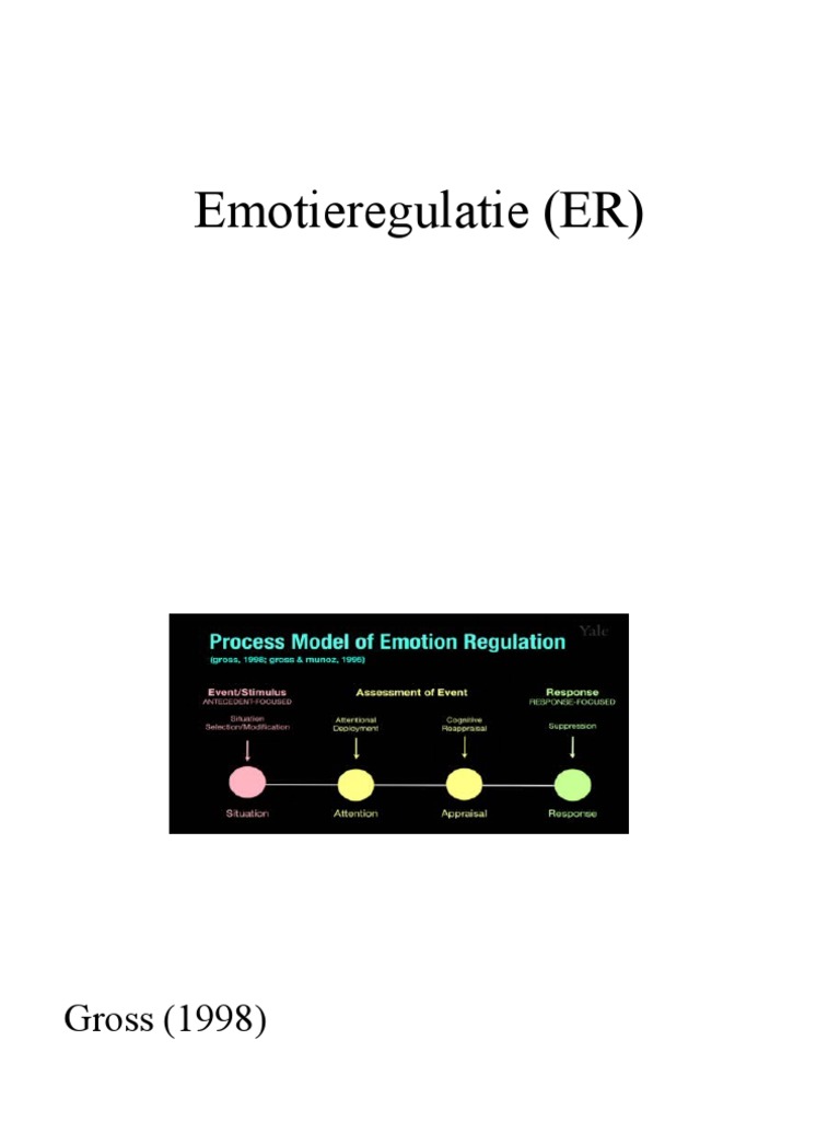 Gross's Emotion Regulation Model Explained | PDF