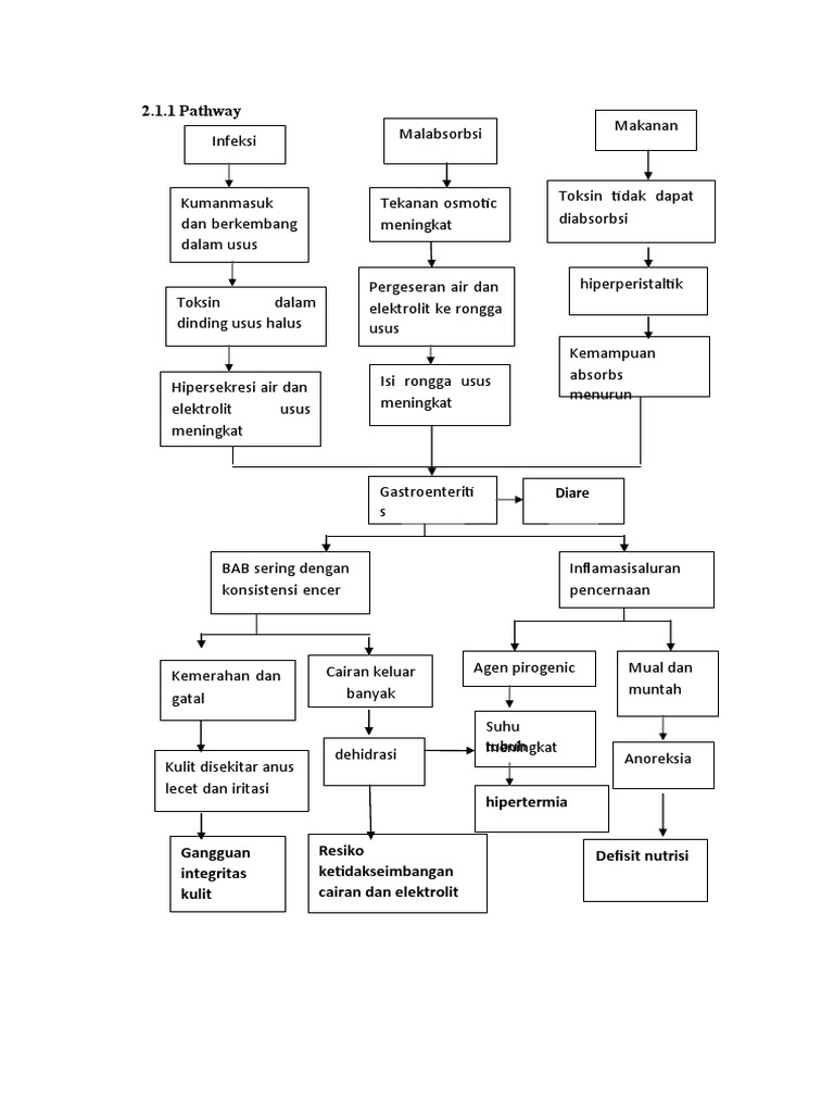 2.1.1 Pathway: Diare | PDF