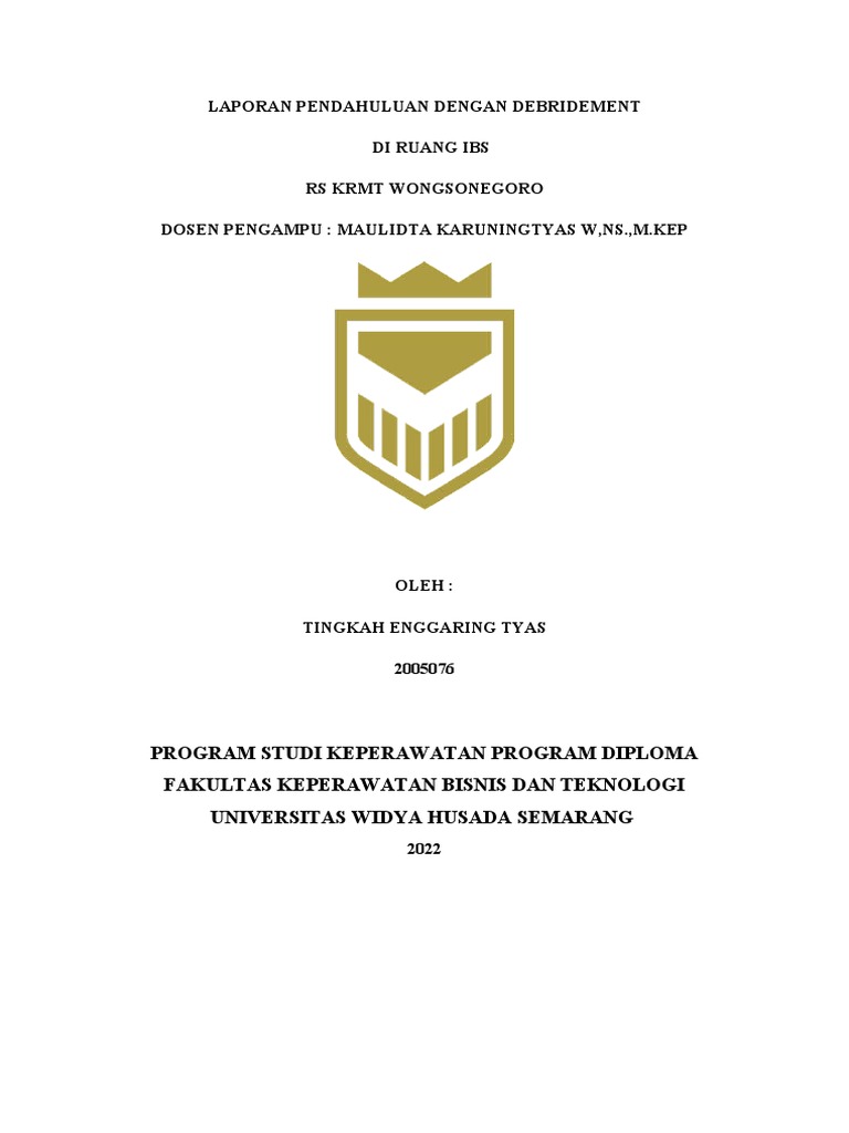 LP Debridement | PDF