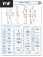 GROC Castellano | PDF