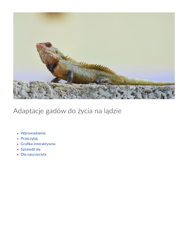 Adaptacje Gadow Do Zycia Na Ladz | PDF