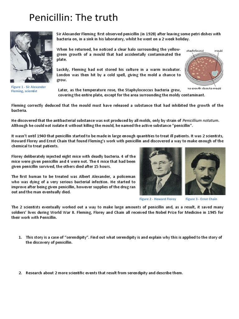 Penicillin WS | PDF | Penicillin | Mold