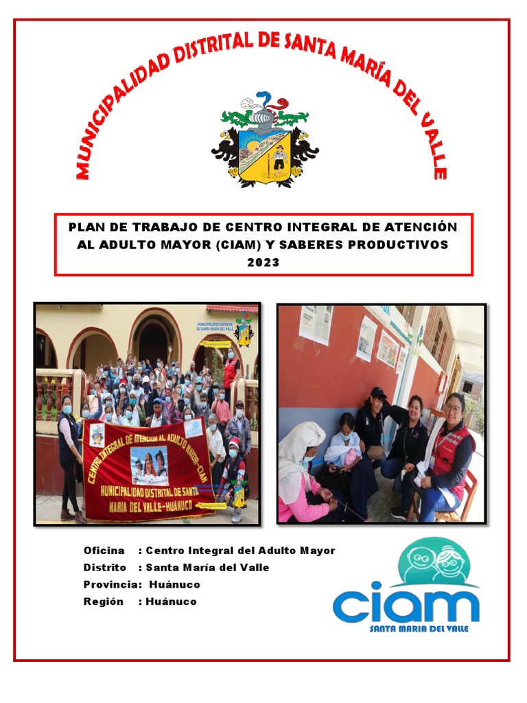 Plan de Trabajo de Ciam - Valle 2023 | PDF | Vejez | Población