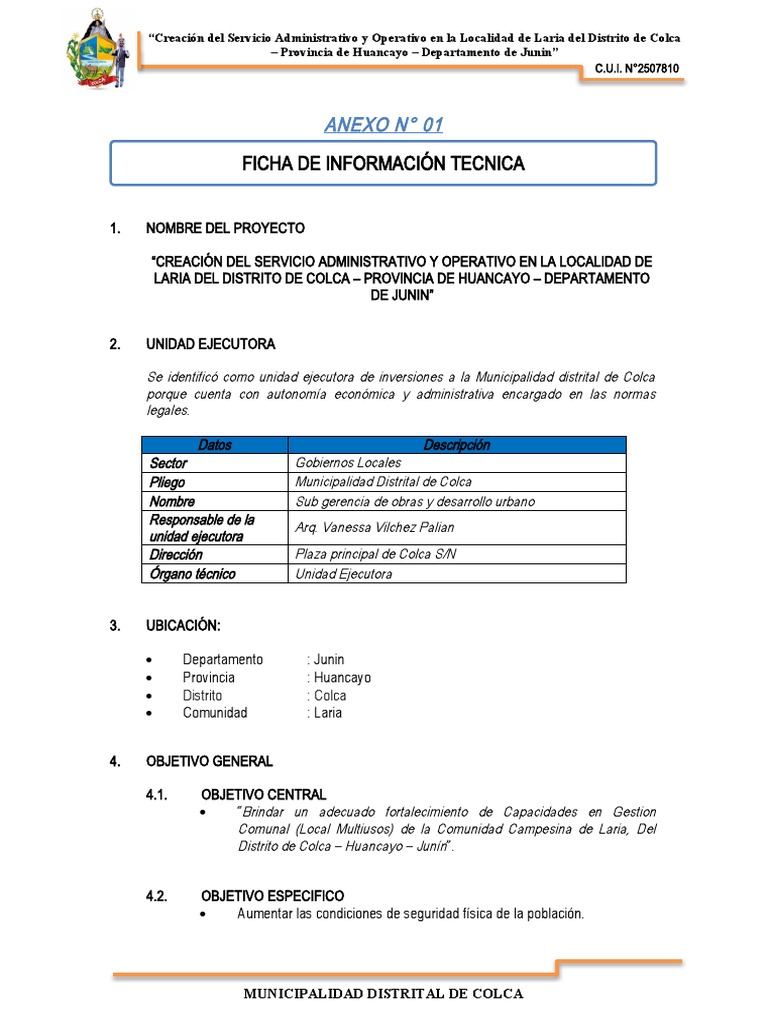 Ficha de Informacion Tecnica | PDF | Economias