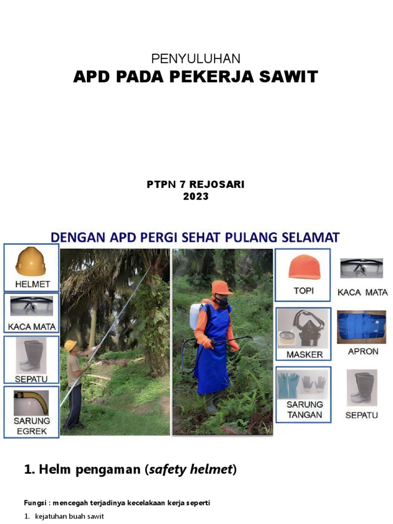 Penyuluhan APD Pekerja Sawit | PDF